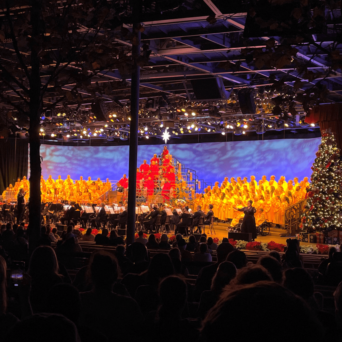 Visiting the Disney Parks and Resorts at Christmas