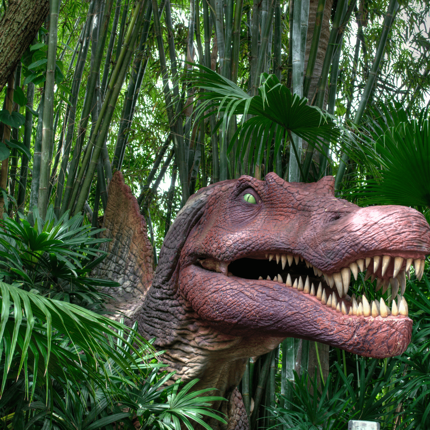 10 Things to Know for Your First Universal Orlando Vacation