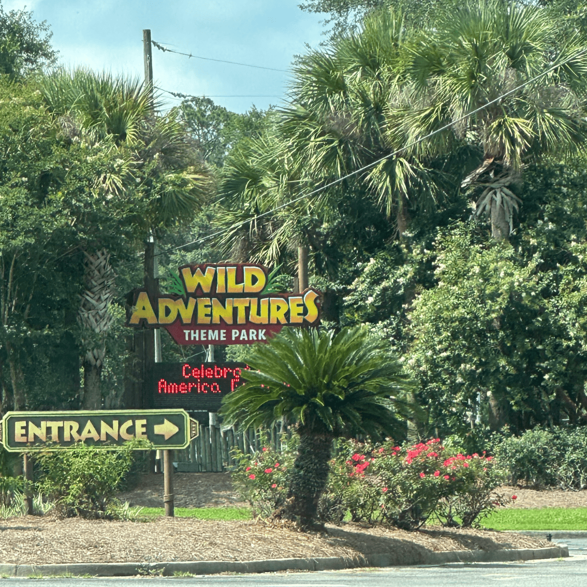 Unleash Your Wild Side at Wild Adventures in Valdosta, Georgia