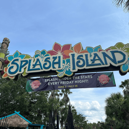Unleash Your Wild Side at Wild Adventures in Valdosta, Georgia