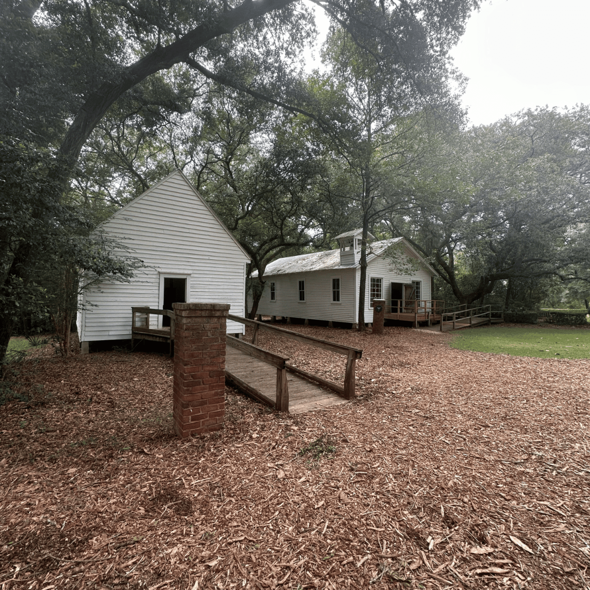 Why the Tallahassee Museum is One of the Best Things to Do in ...