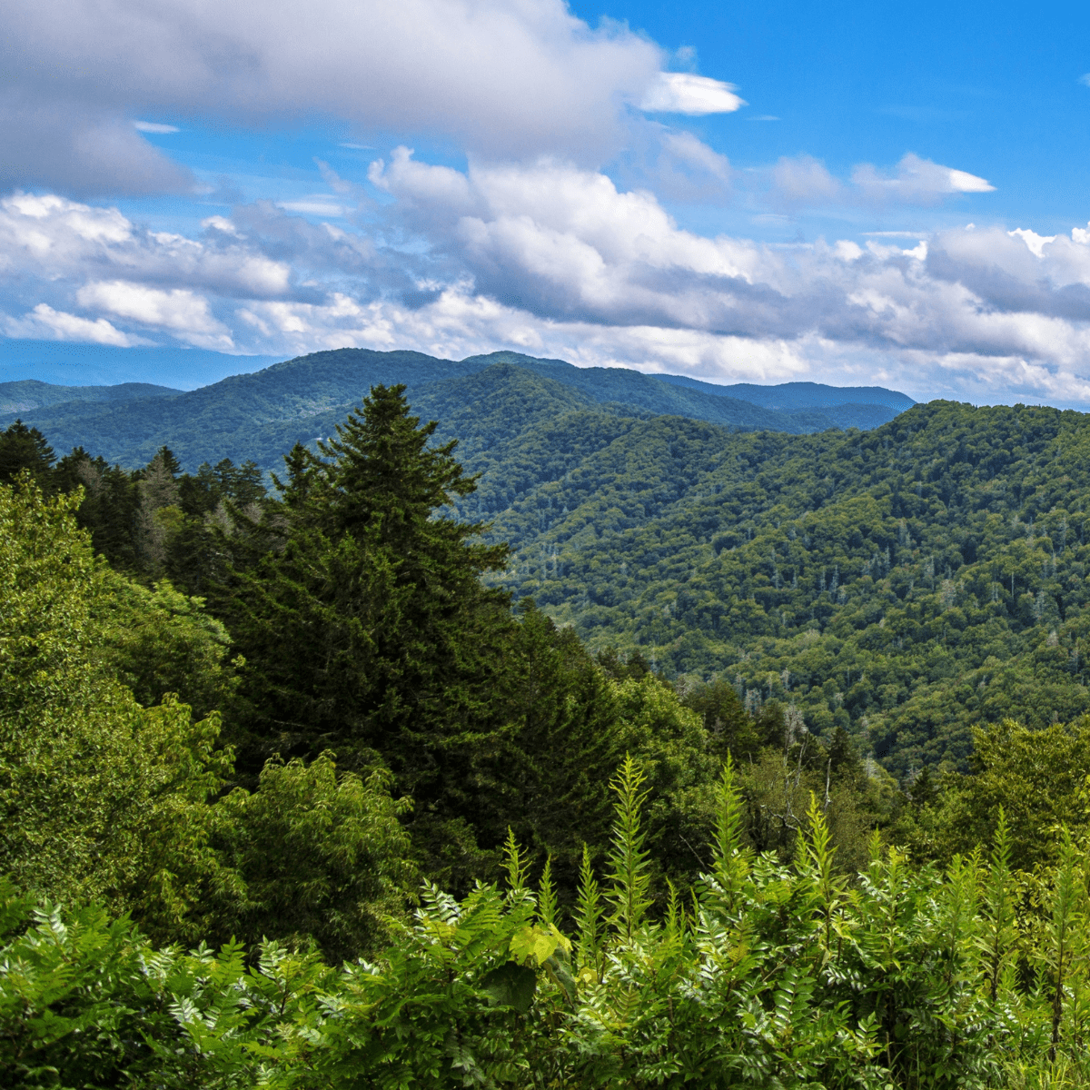 Pigeon Forge Travel Guide: Discover This Smoky Mountain Gem