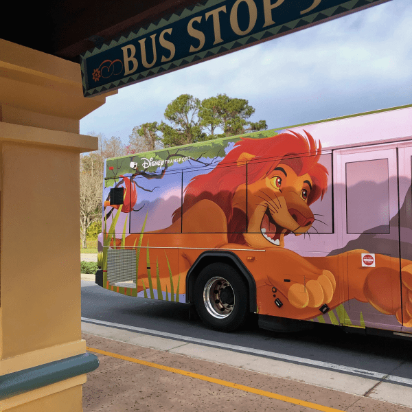 Disney World Transportation: Everything You Need to Know