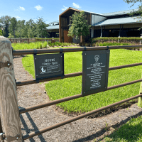 Discovering Tri Circle D Ranch at Disney’s Fort Wilderness