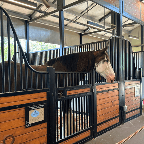 Discovering Tri Circle D Ranch at Disney’s Fort Wilderness