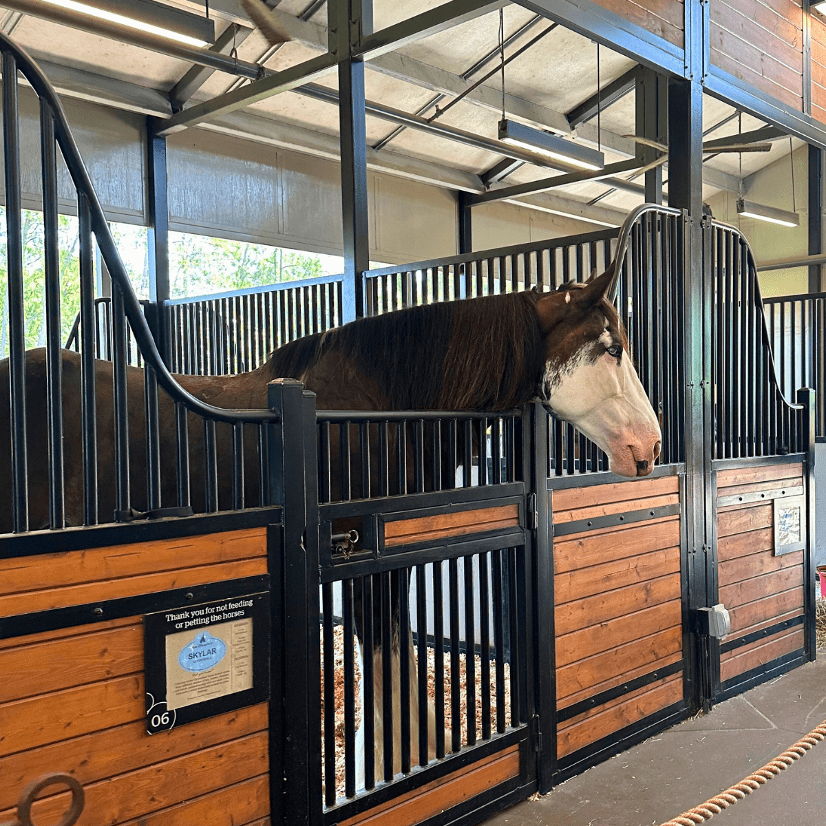 Discovering Tri Circle D Ranch at Disney’s Fort Wilderness