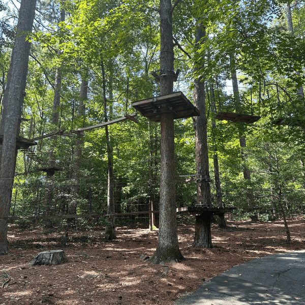 A Relaxing Weekend at Callaway Gardens Resort in Pine Mountain, GA