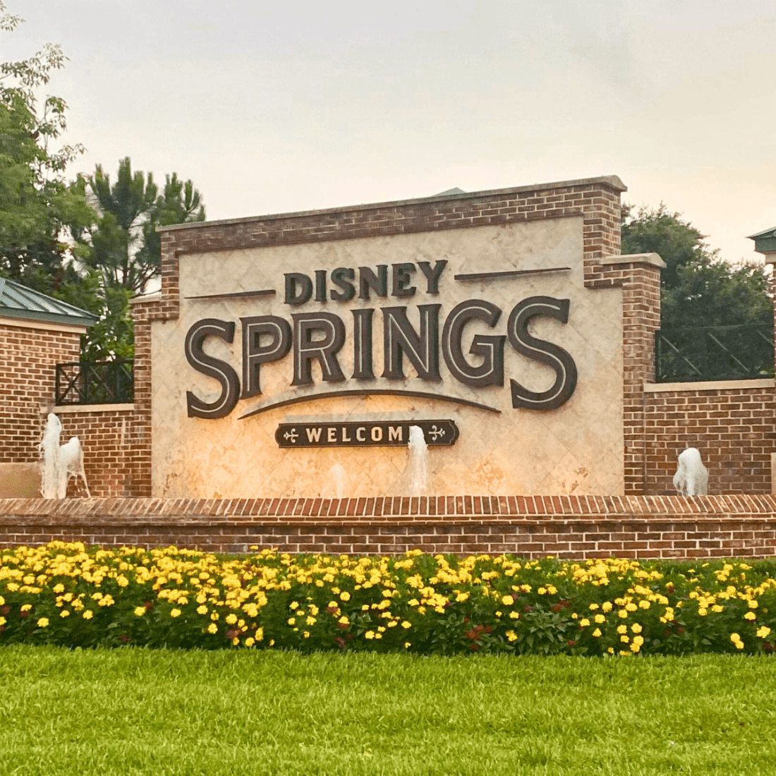Your Ultimate Guide to Visiting Disney Springs