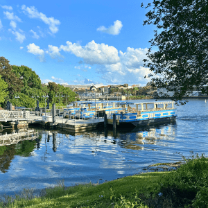 Your Ultimate Guide to Visiting Disney Springs