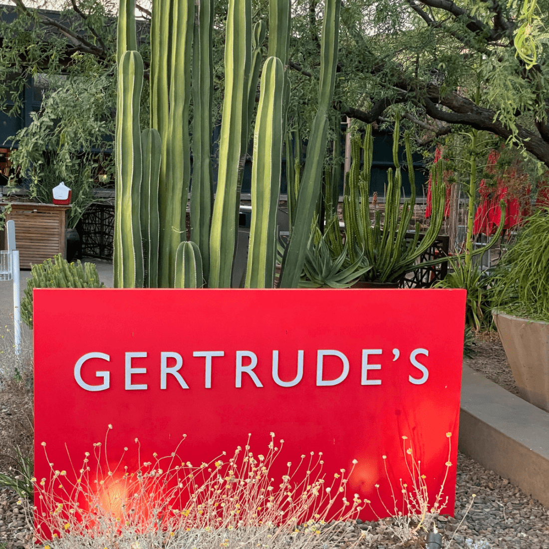 Visiting Desert Botanical Garden: What to See & Do