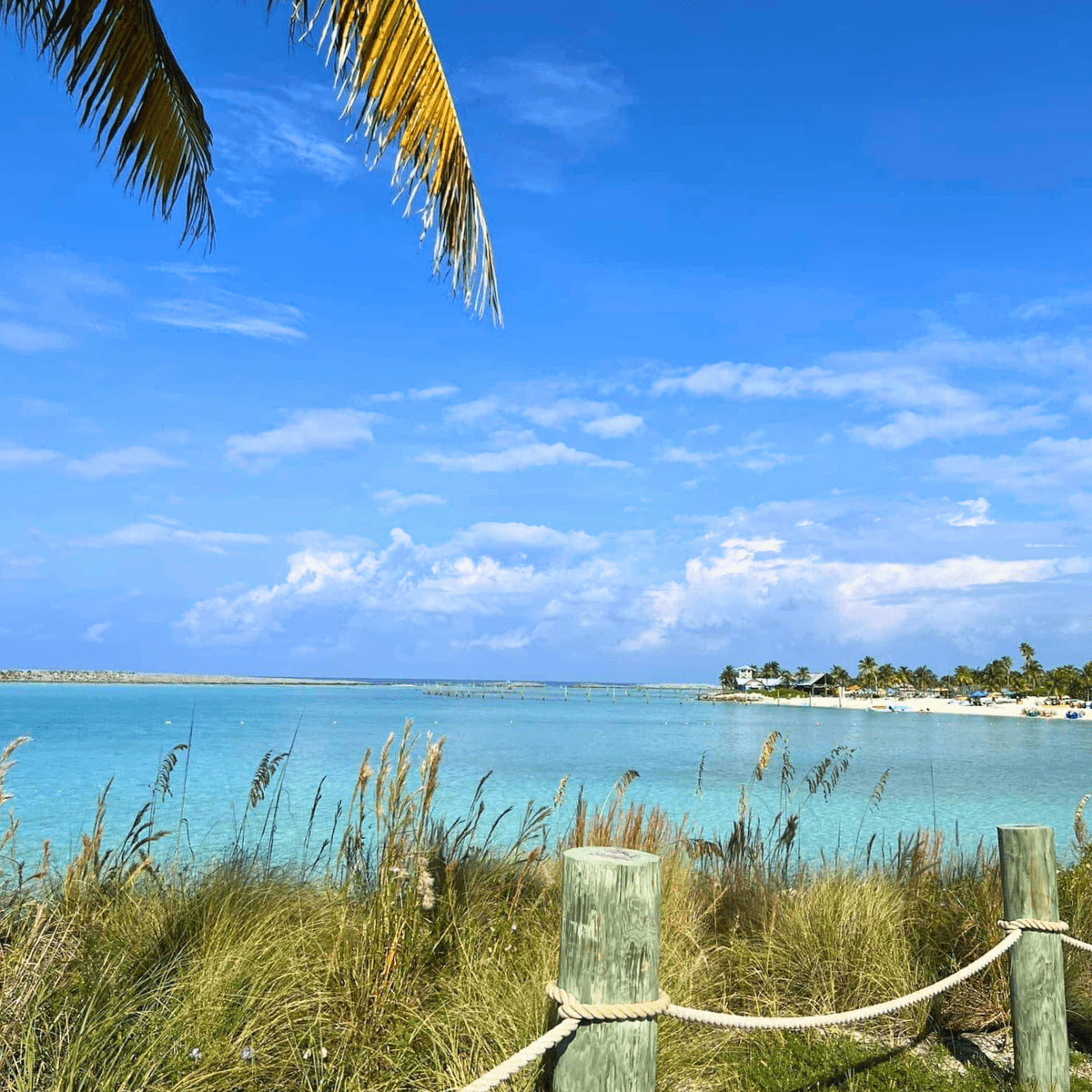 Everything You Need to Know for an Amazing Day on Castaway Cay