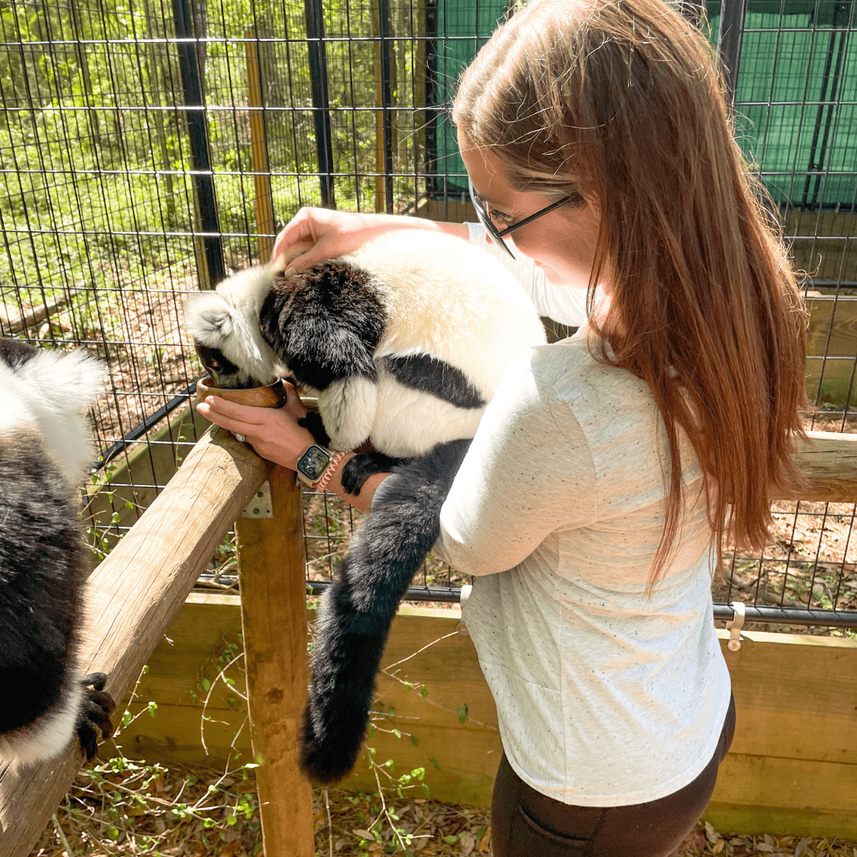 Plan Your Visit to the North Florida Wildlife Center